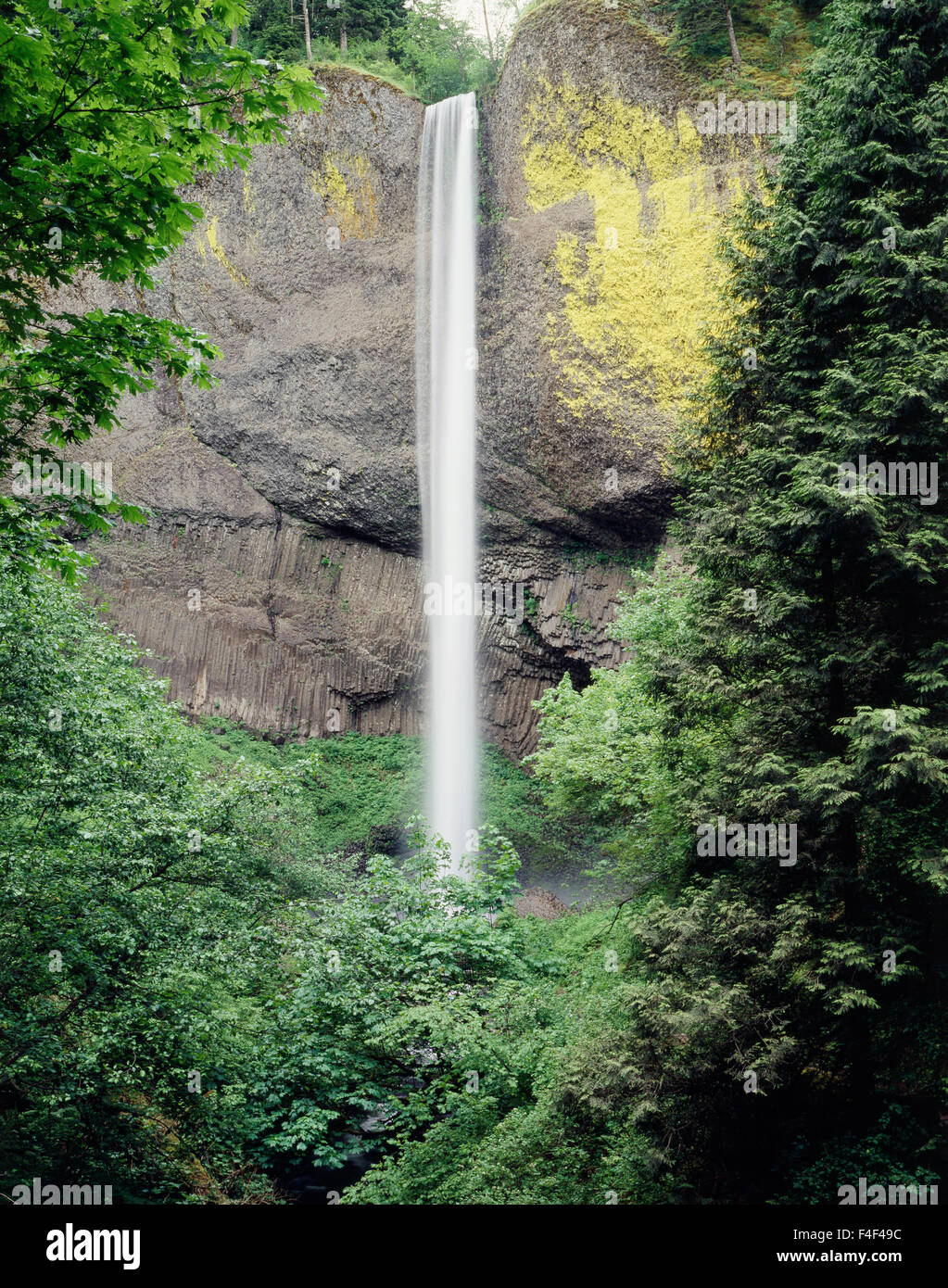 Oregon, Latourell Fall in the Columbia River Gorge. (Large format sizes ...
