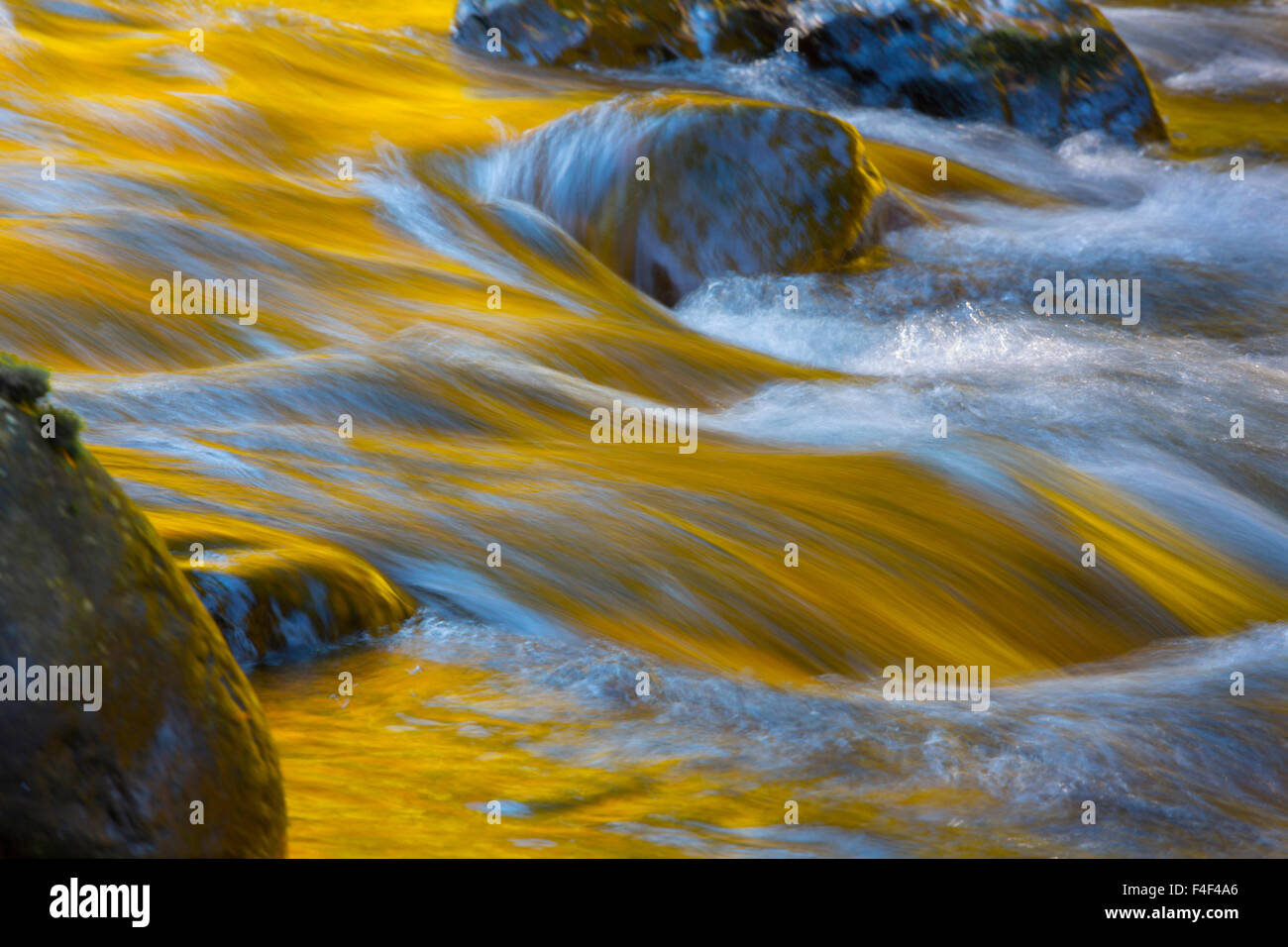 USA. Oregon. Rushing water reflects the gold of fall color on Eagle ...