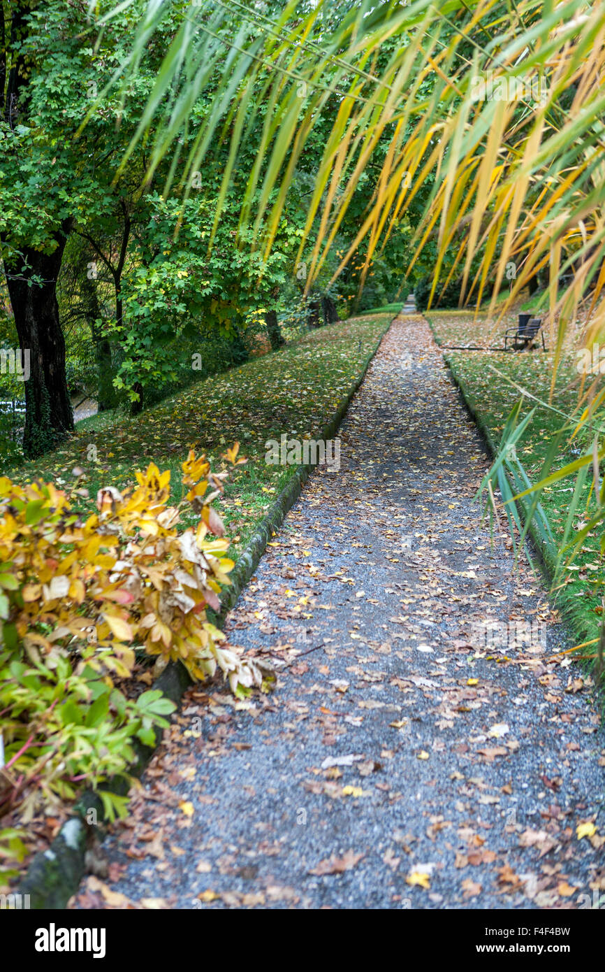 Path In An Autumn Garden Gravel Pathway Scene A Sidewalk Alley In A