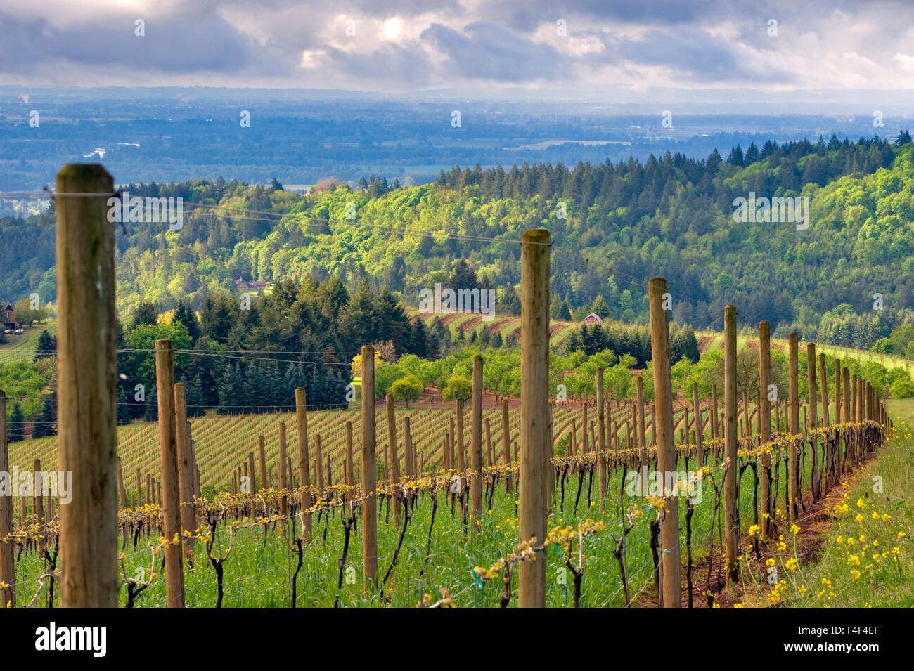 Spring weather in dundee hi-res stock photography and images - Alamy