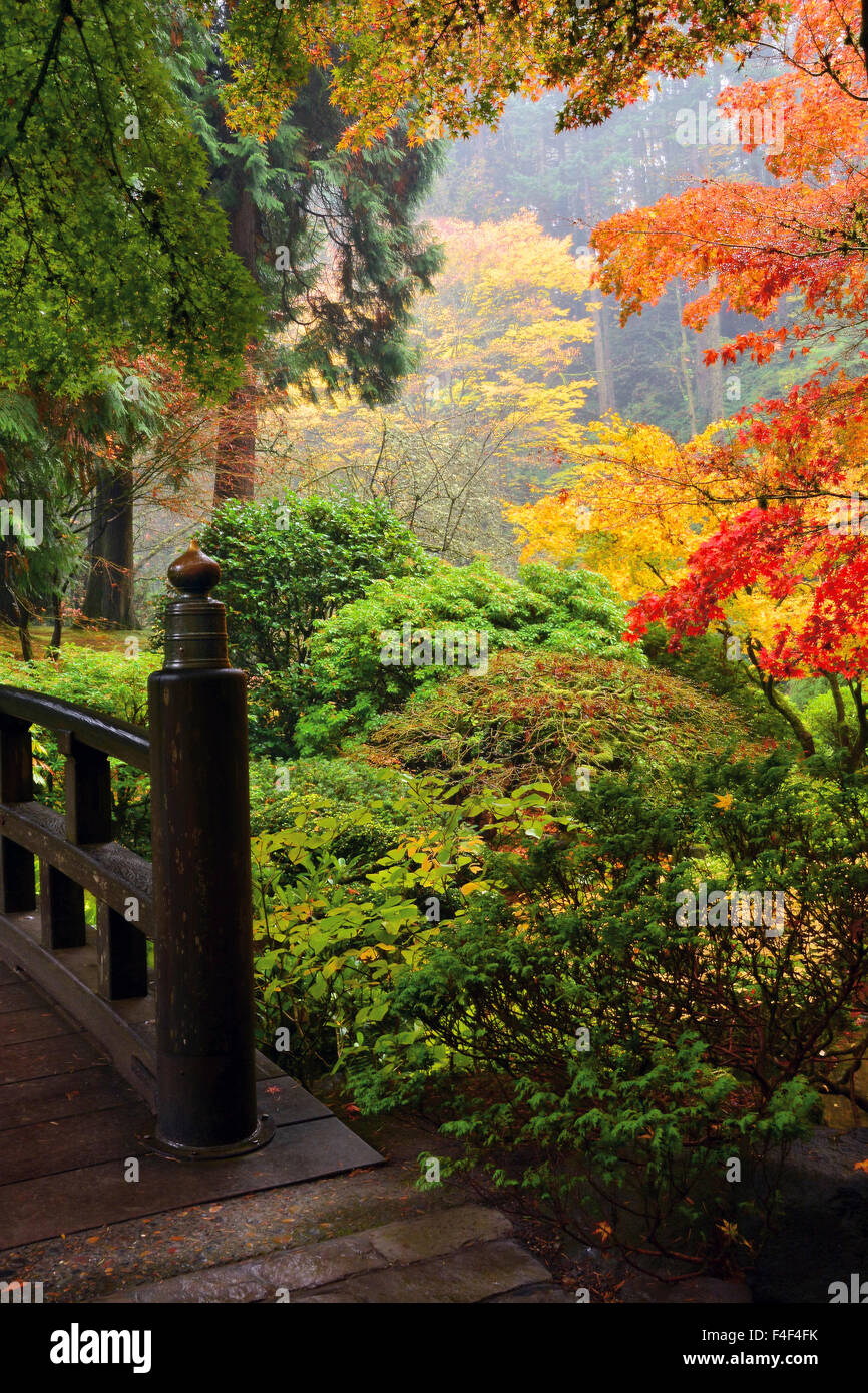 Autumn at Portland Japanese Garden, Portland, Oregon, USA. (PR Stock ...