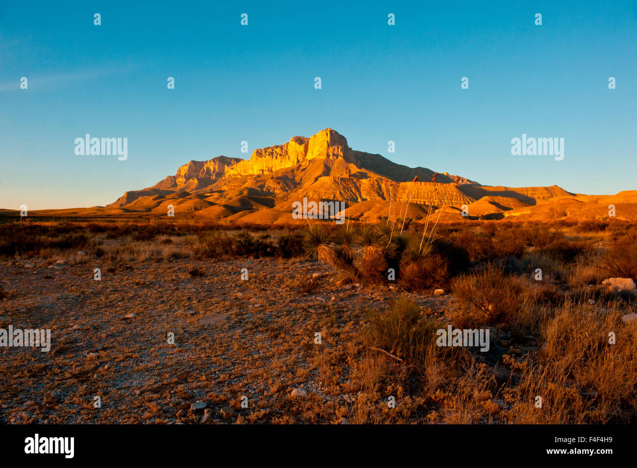 USA. Texas, Guadalupe Mountain National Park. The El Capitan Prominence ...