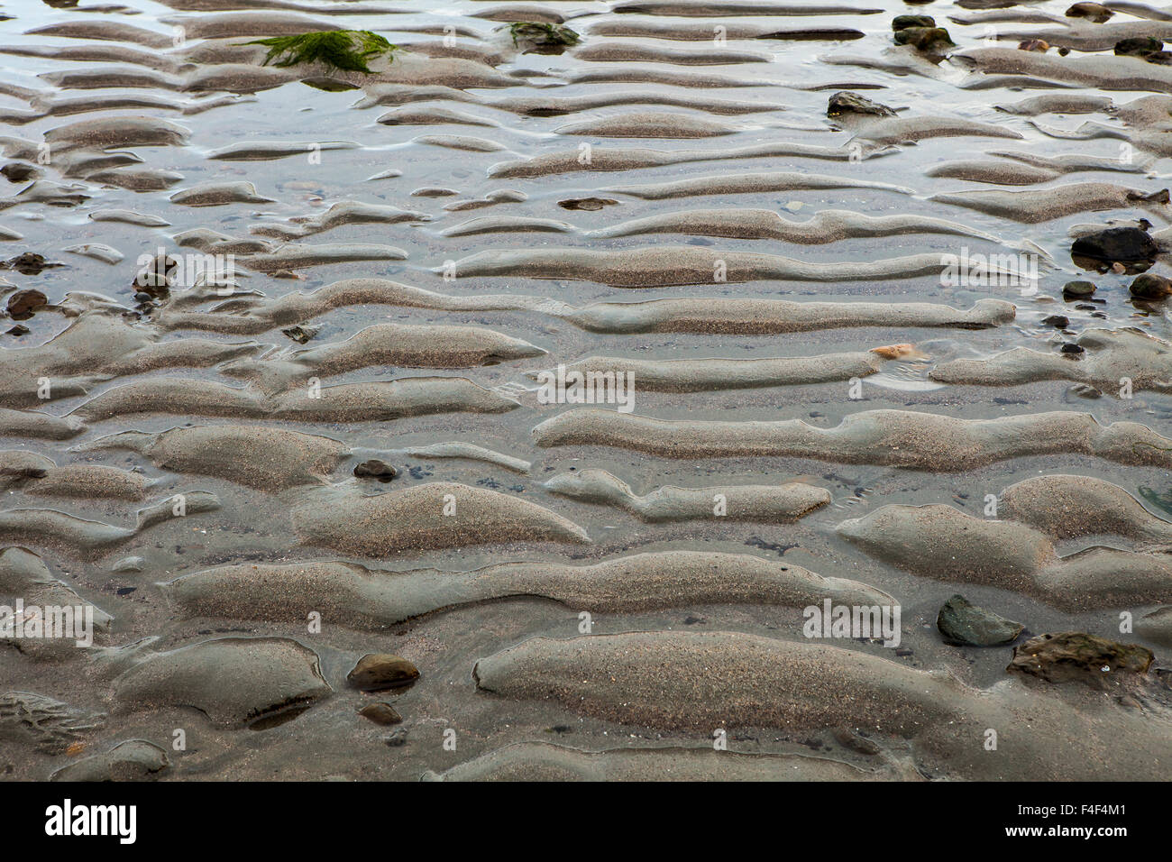 Ripples in the sand of Sunset Bay at low tide Stock Photo - Alamy