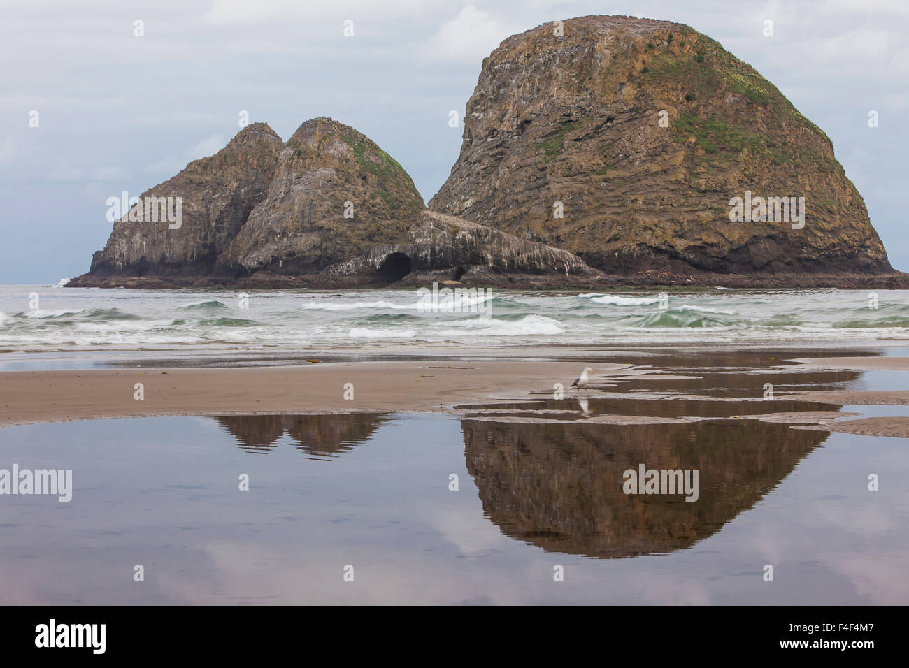 Three Arch Rocks Wildlife Refuge High Resolution Stock Photography and ...