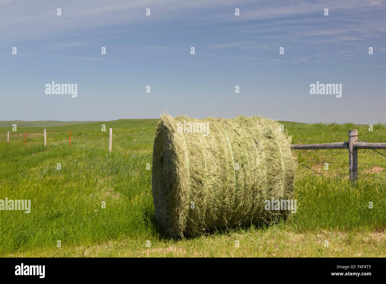 USA, South Dakota, Butte County, Hay bale Stock Photo - Alamy