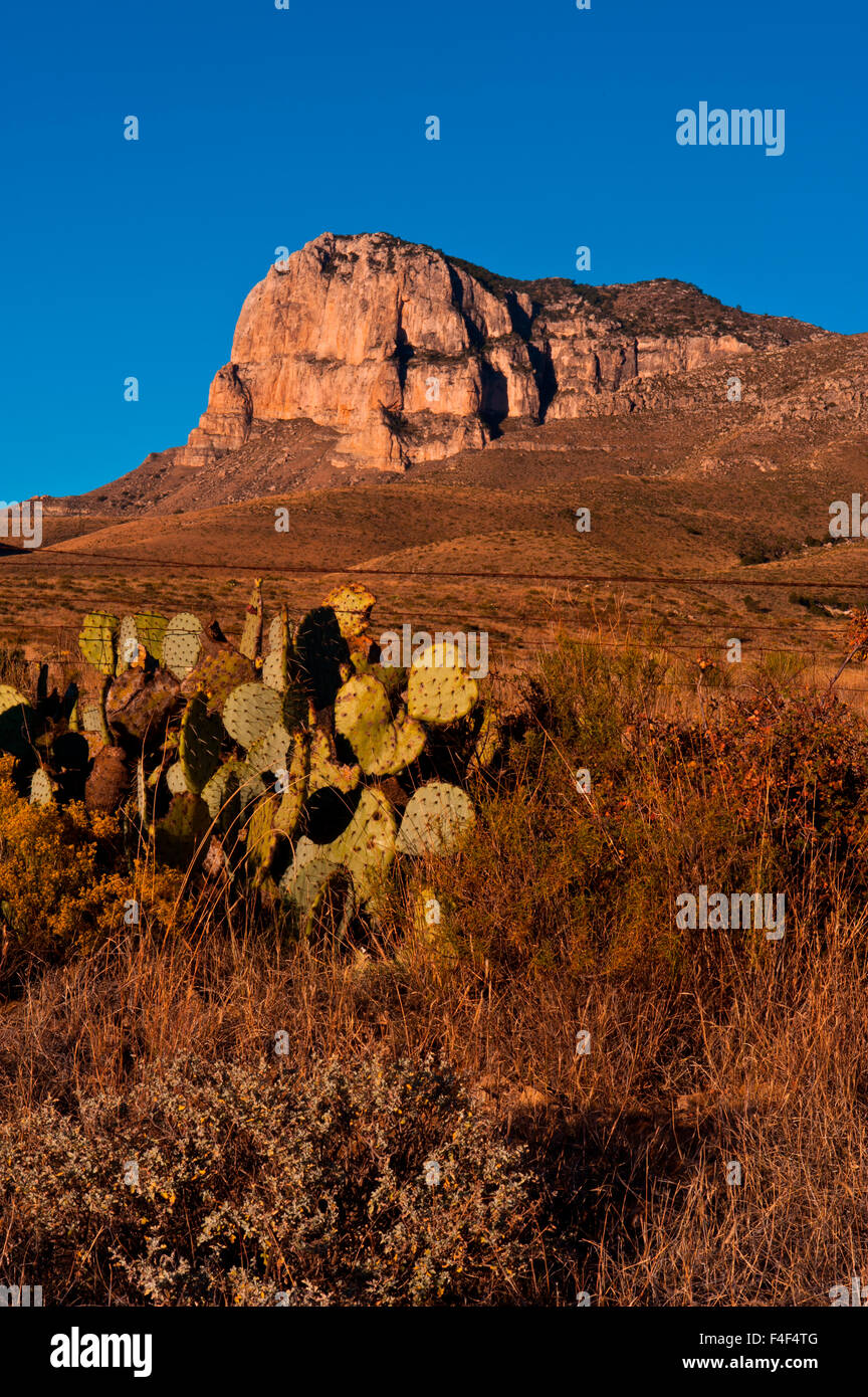 USA. Texas, Guadalupe Mountain National Park. The El Capitan Prominence ...