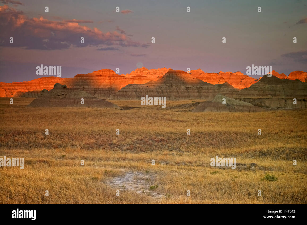 Badlands national park grassy hi-res stock photography and images - Alamy
