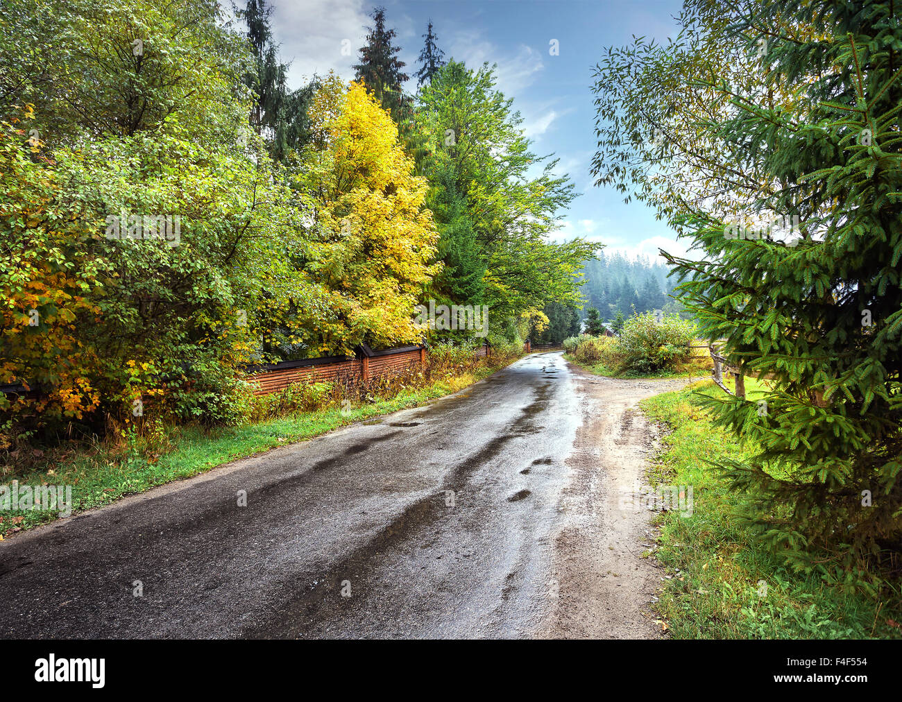 Asphalt road among autumn trees in the village Stock Photo - Alamy