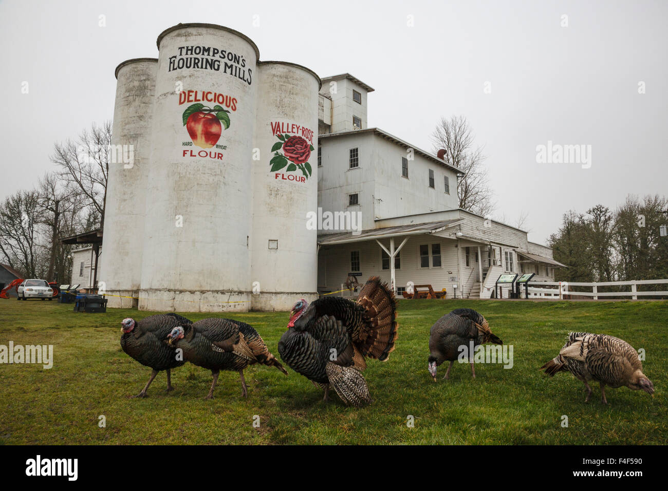 Shedd oregon hi-res stock photography and images - Alamy