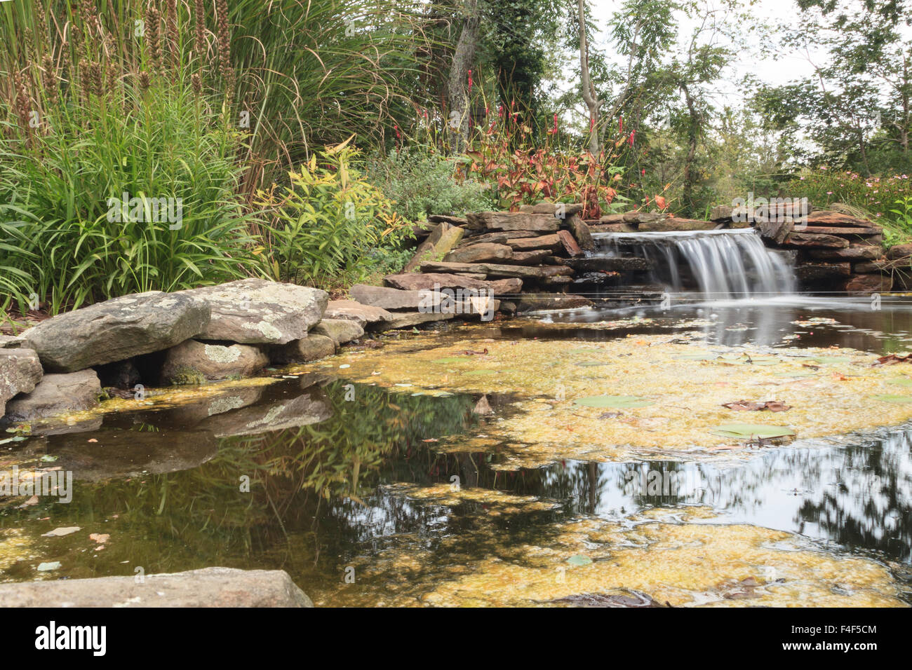 Waterfall by the pond hi-res stock photography and images - Alamy