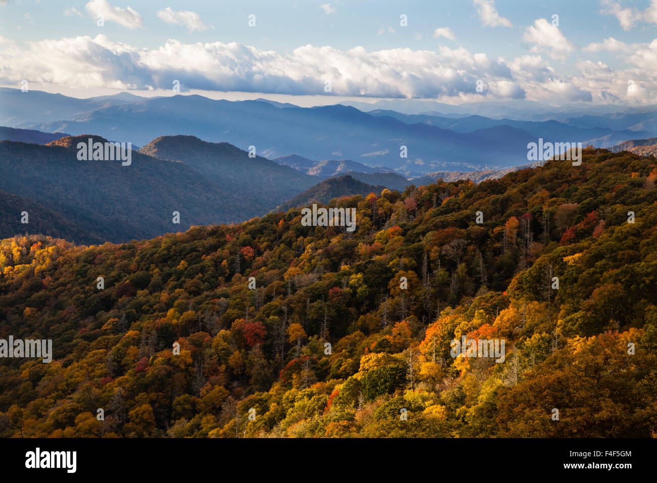 USA, Tennessee, Fall foliage in the Smoky Mountains National Park Stock ...