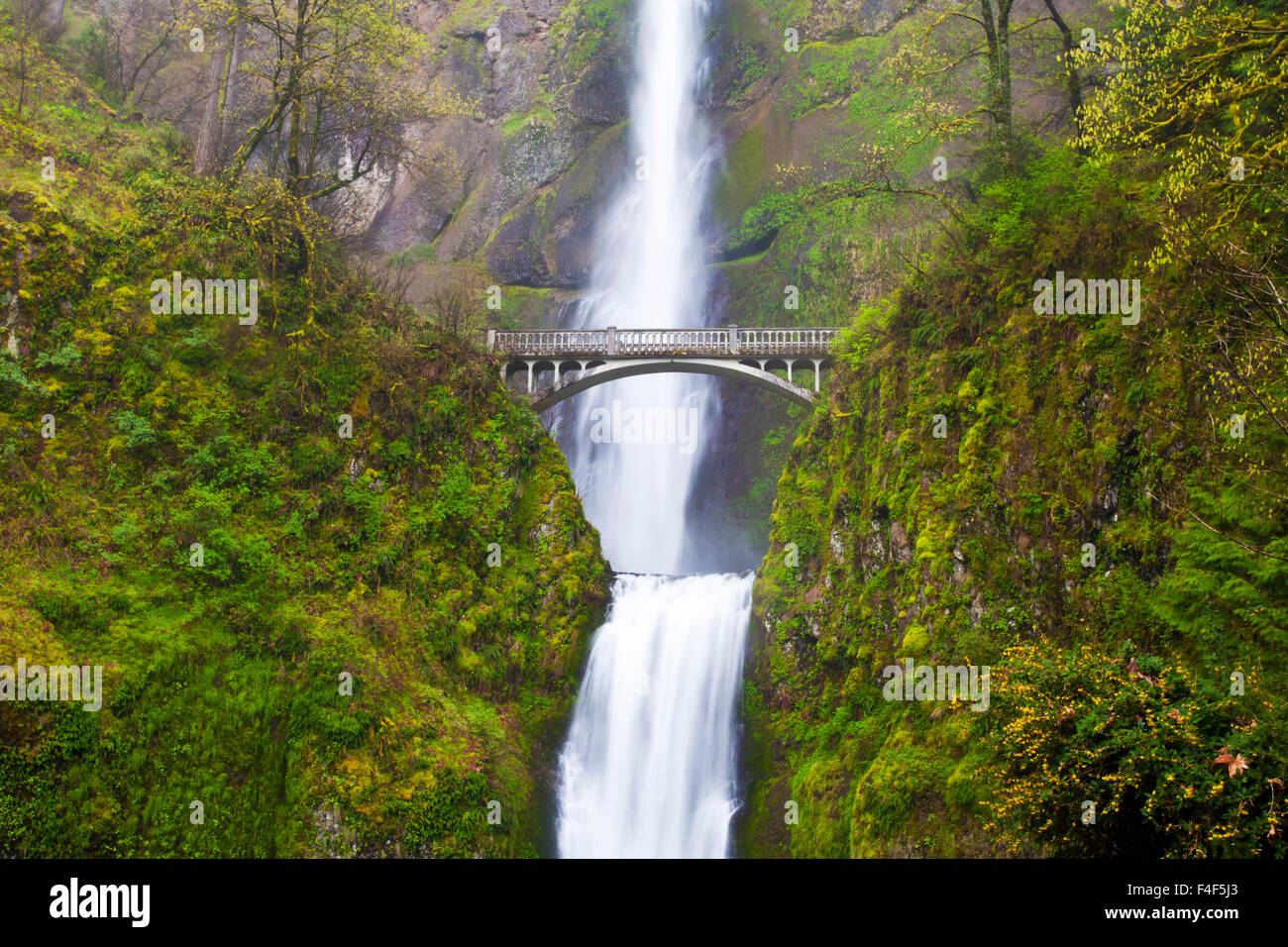USA, Oregon, Columbia Gorge, Multnomah Falls cascades from high above ...