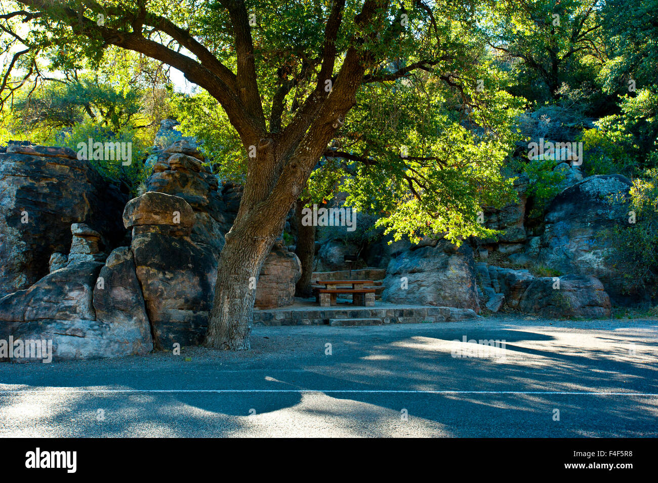 USA, Fort Davis, Texas, Davis Mountains Scenic Loop Drive Rest area in ...