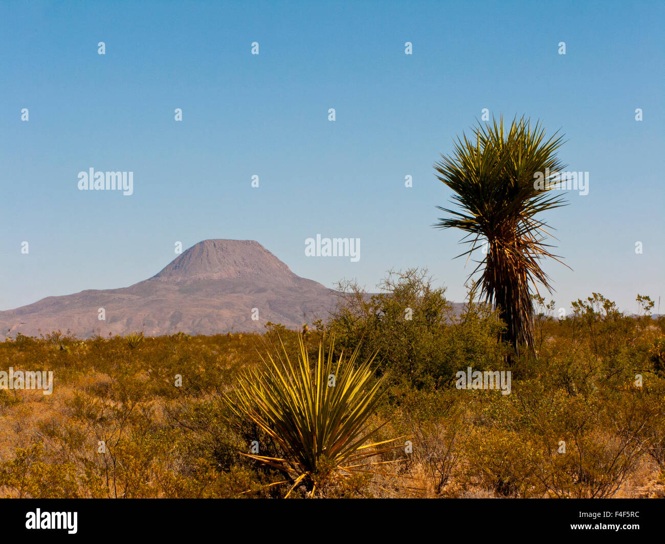 Davis mountains scenic loop hi-res stock photography and images - Alamy