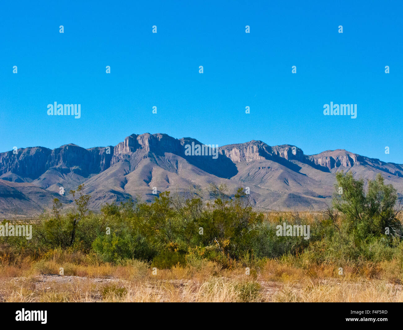 USA, Fort Davis, Texas, Davis Mountains Scenic Loop Drive, Pine Peak ...