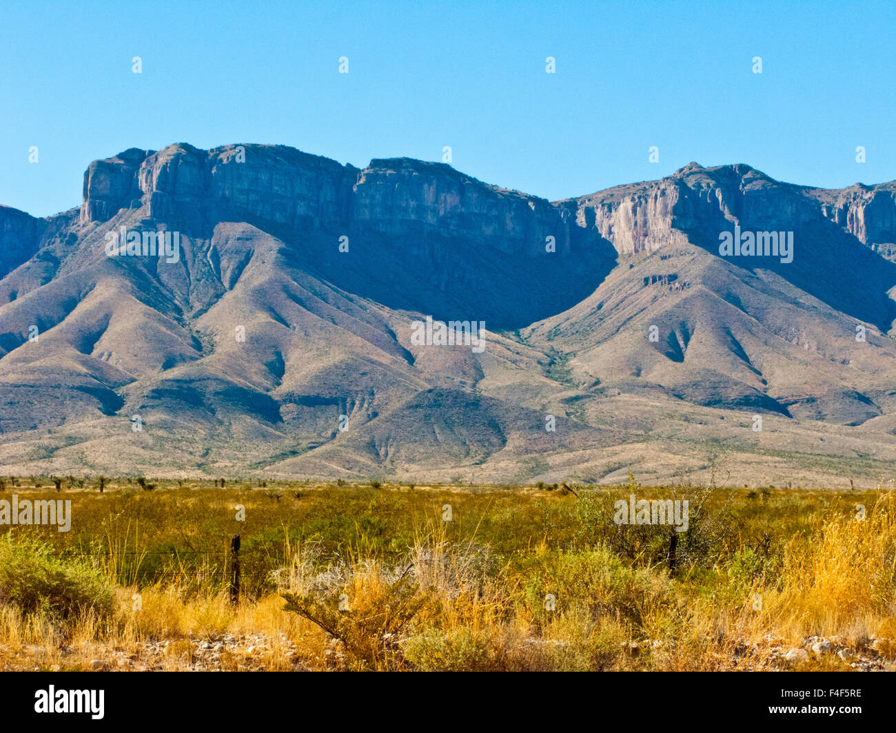 USA, Fort Davis, Texas, Davis Mountains Scenic Loop Drive, Pine Peak ...