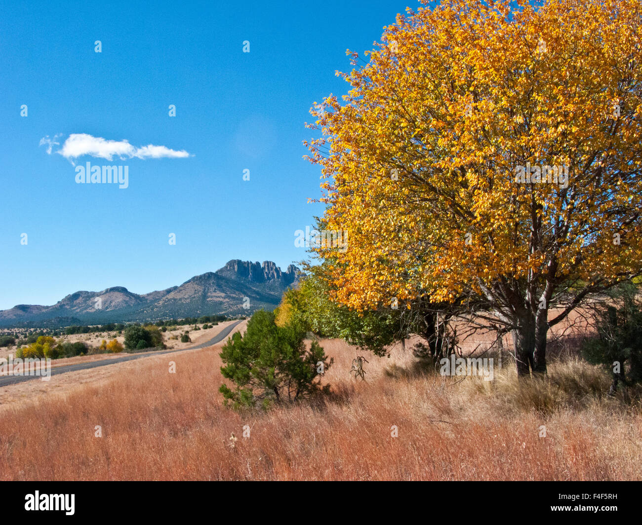Sawtooth mountain texas hi-res stock photography and images - Alamy