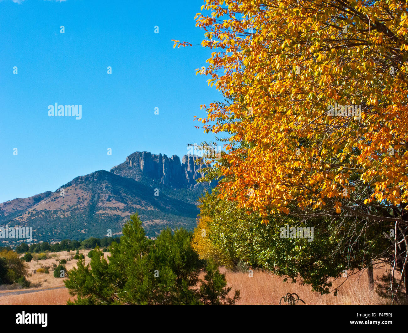 USA, Fort Davis, Texas, Davis Mountains Scenic Loop Drive, Sawtooth ...