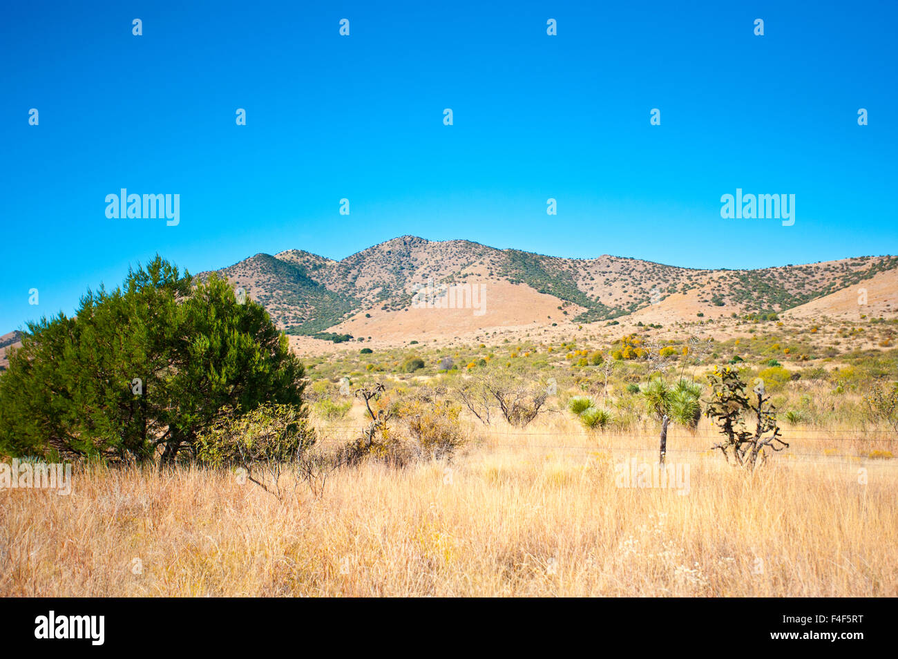 Davis mountains scenic loop hi-res stock photography and images - Alamy