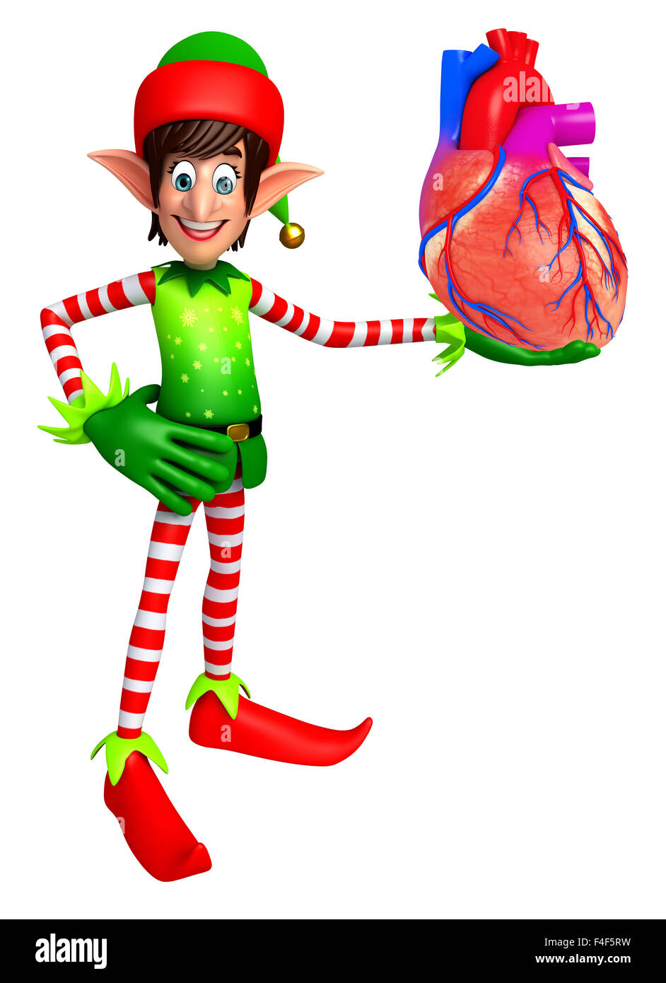 3d rendered illustration of elves with anatomical heart Stock Photo - Alamy