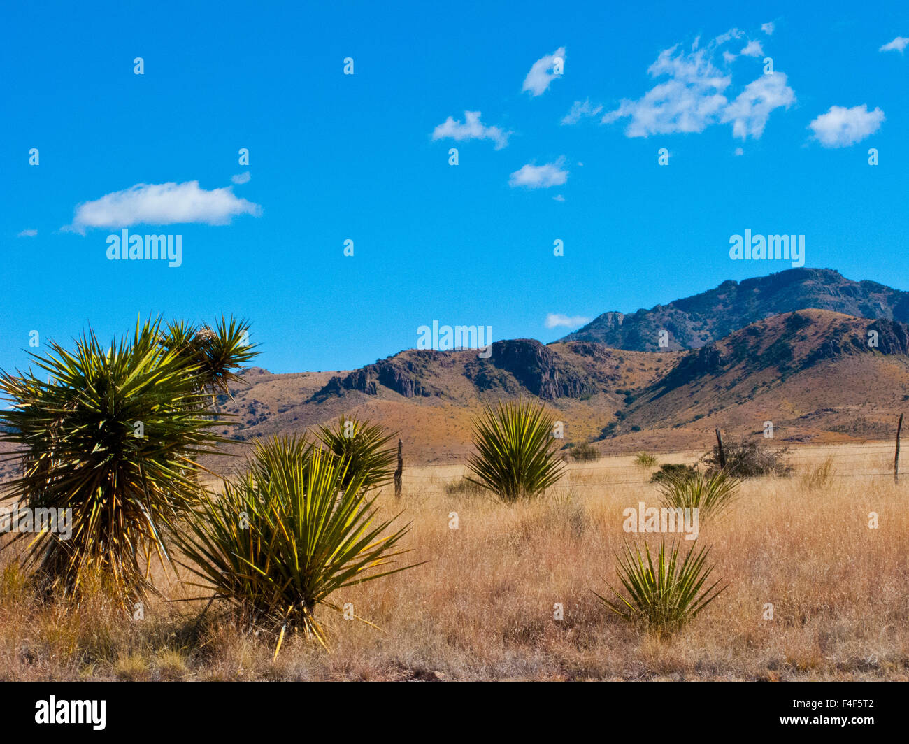 USA, Fort Davis, Texas, Davis Mountains Scenic Loop Drive Stock Photo ...