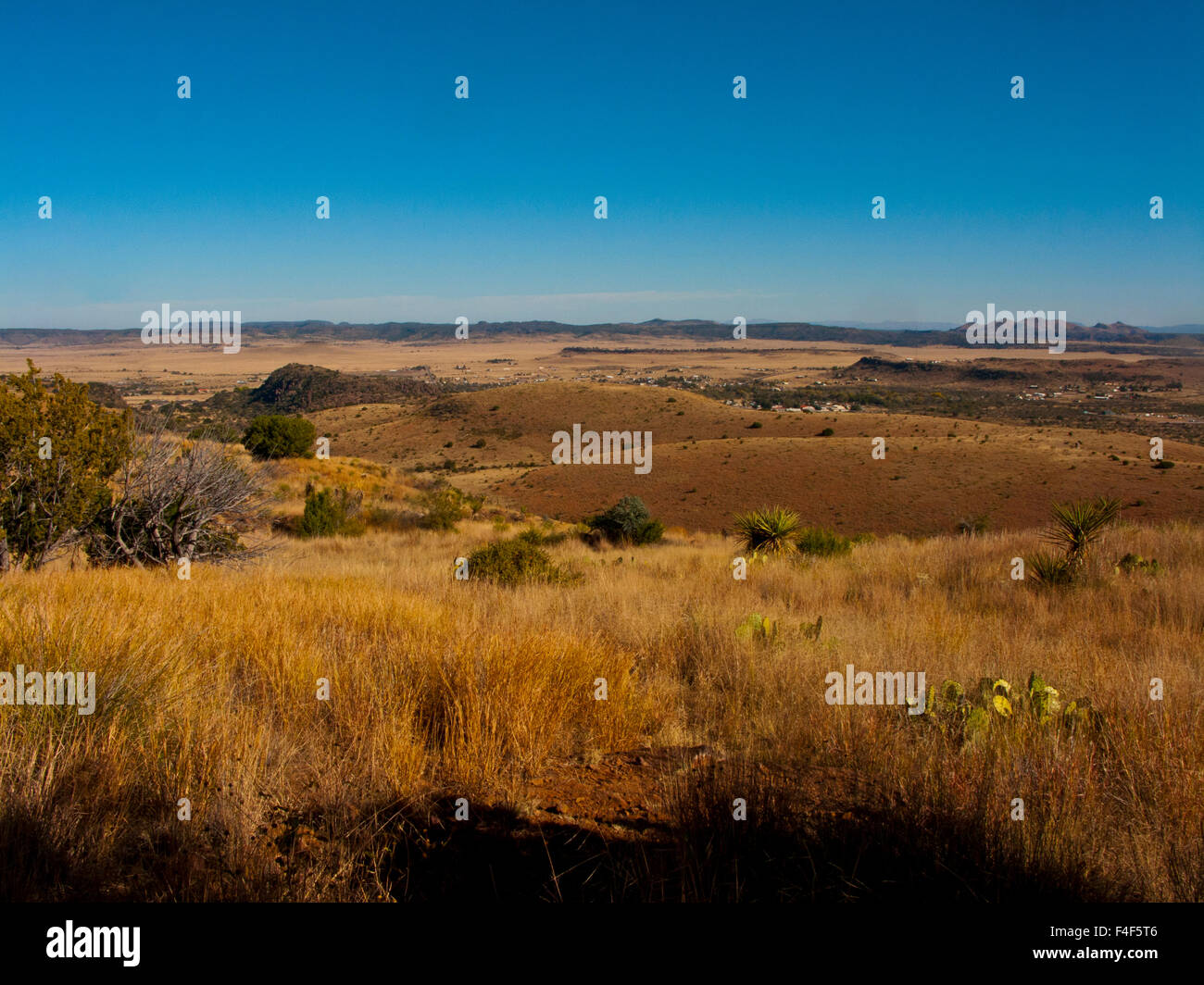 USA, Fort Davis, Texas, Davis Mountains State Park, Skyline Drive ...