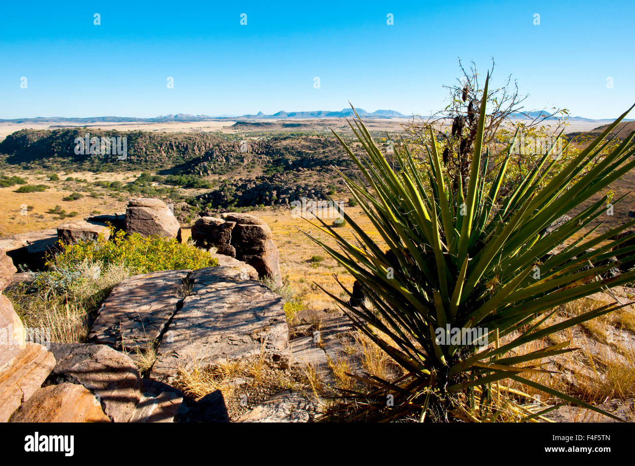 USA, Fort Davis, Texas, Davis Mountains State Park, view from Skyline ...