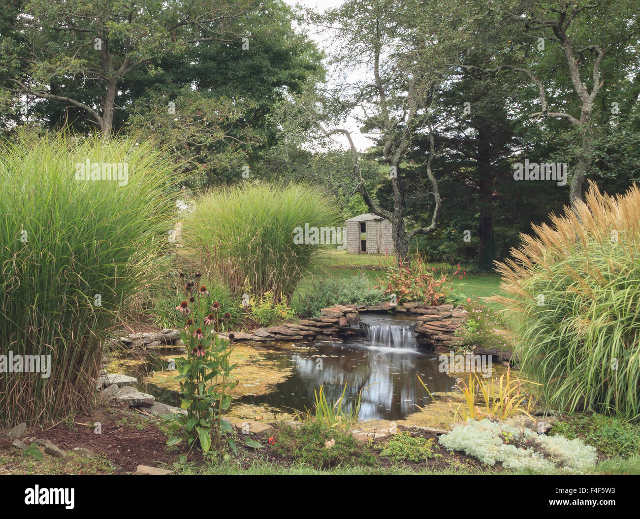 Plant waterfall hi-res stock photography and images - Alamy