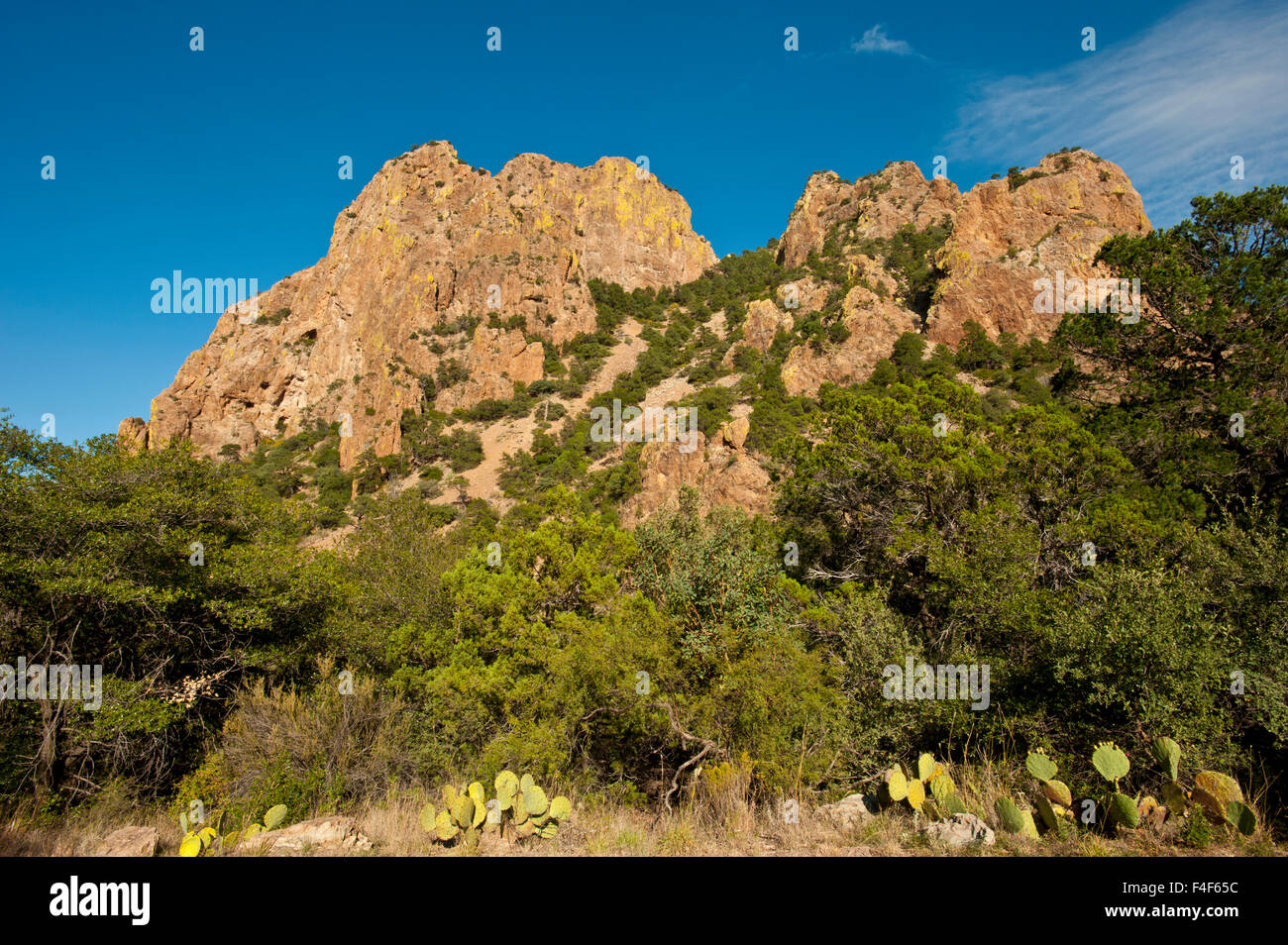 Emory peak big bend national park hi-res stock photography and images ...