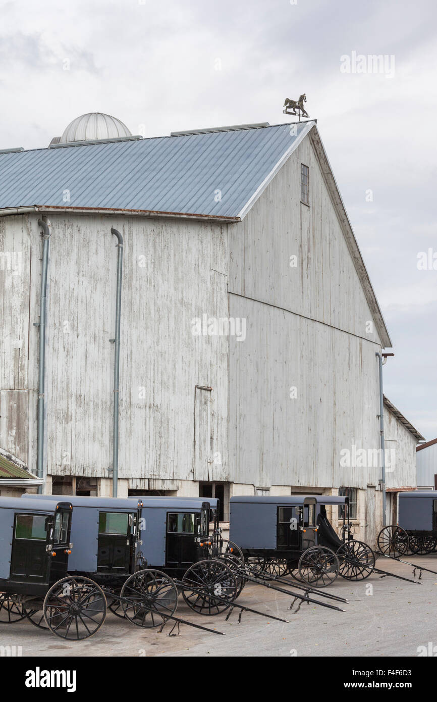 USA, Pennsylvania, Pennsylvania Dutch Country, Bird in Hand, Amish ...