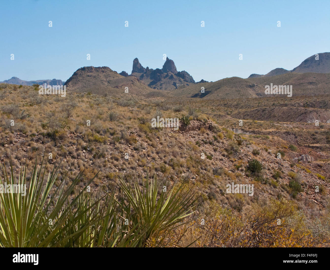 Mule ears big bend hi-res stock photography and images - Alamy