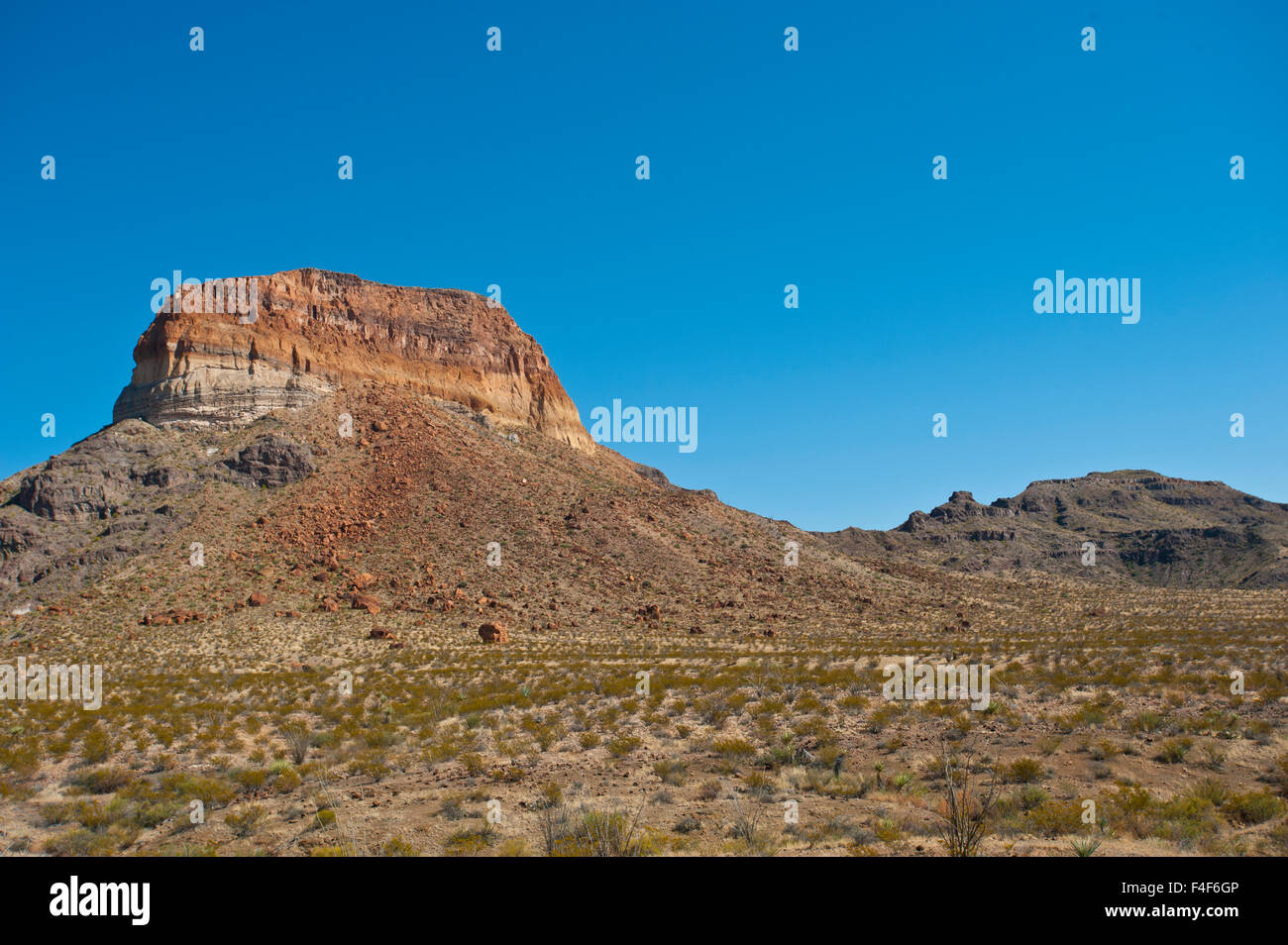 USA, Texas, Big Bend National Park, Ross Maxwell Scenic Drive, Painted ...