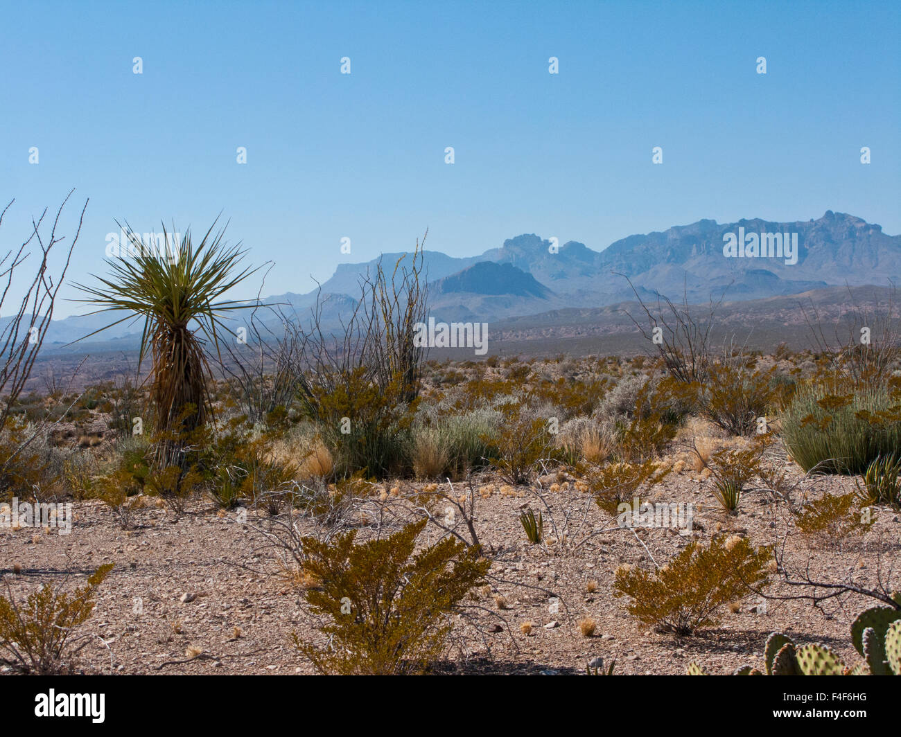 USA, Texas, Big Bend National Park, Scenery along Old Ore Road ...