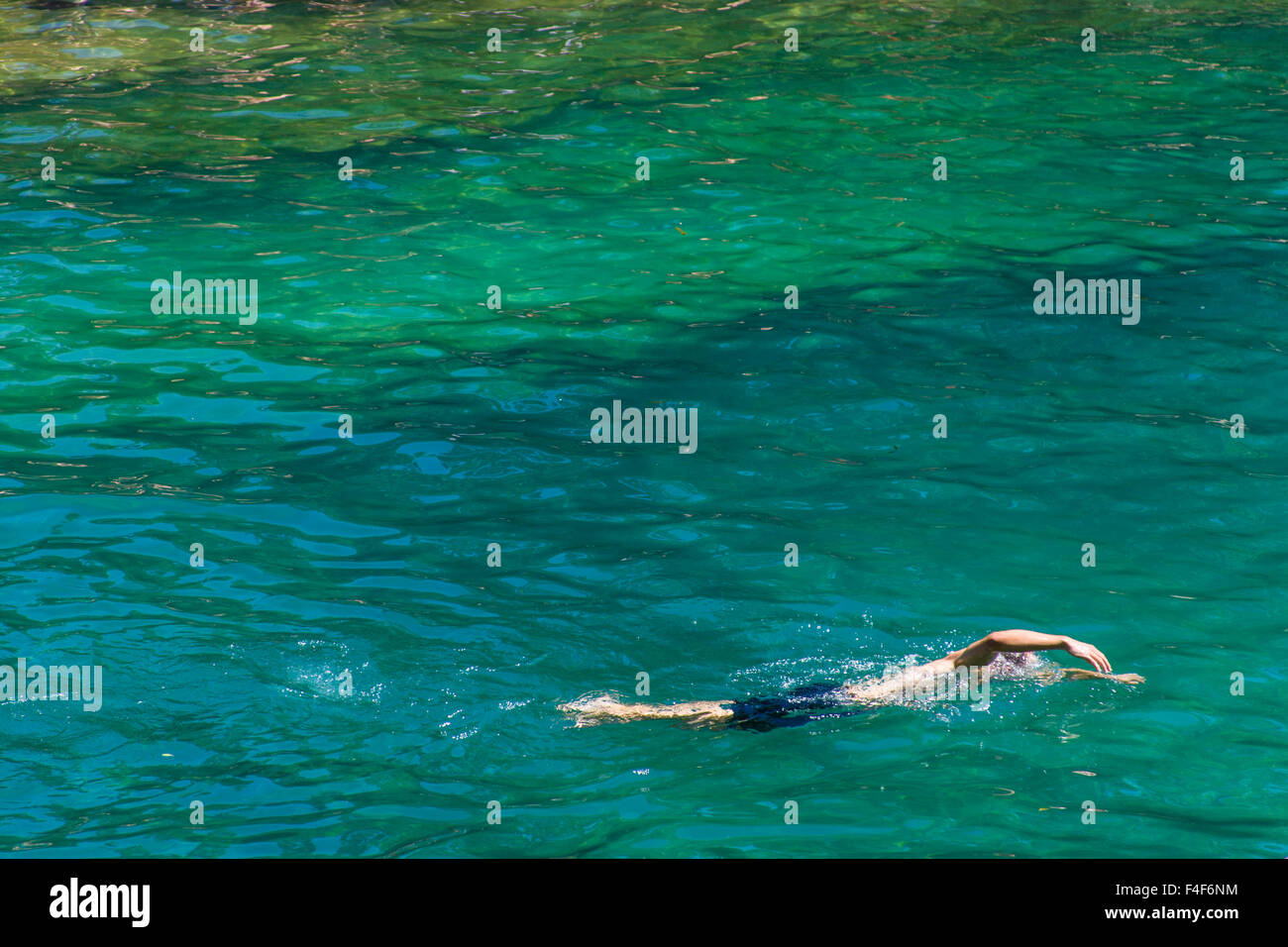 Barton Springs Pool Underwater