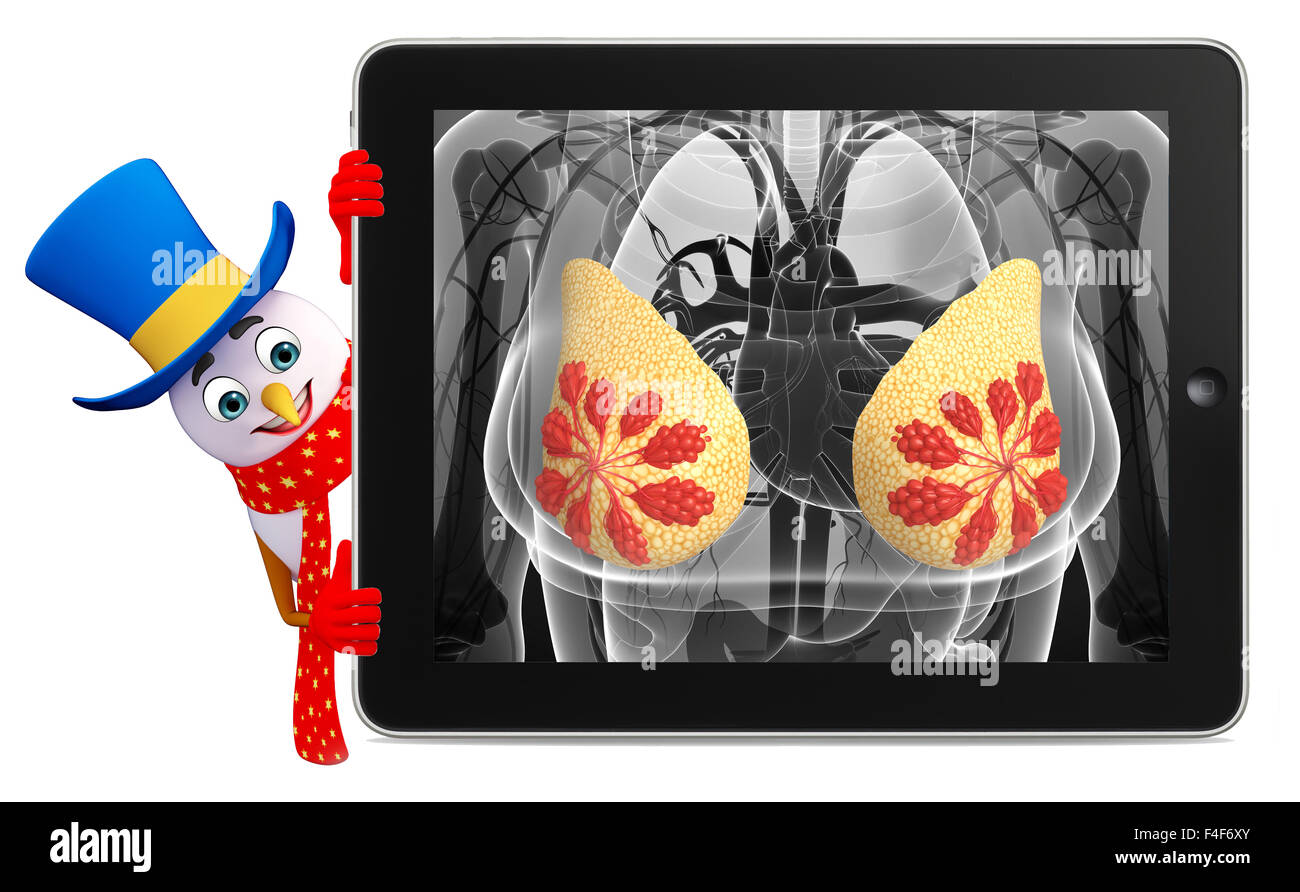 3d rendered illustration of snowman with xray anatomy Stock Photo - Alamy