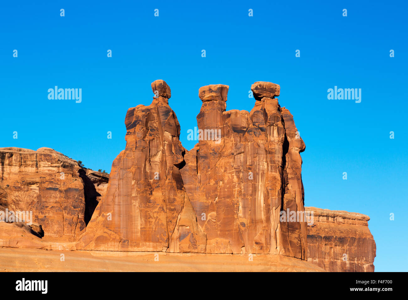 USA, Utah, Arches National Park, Three Gossips Stock Photo - Alamy