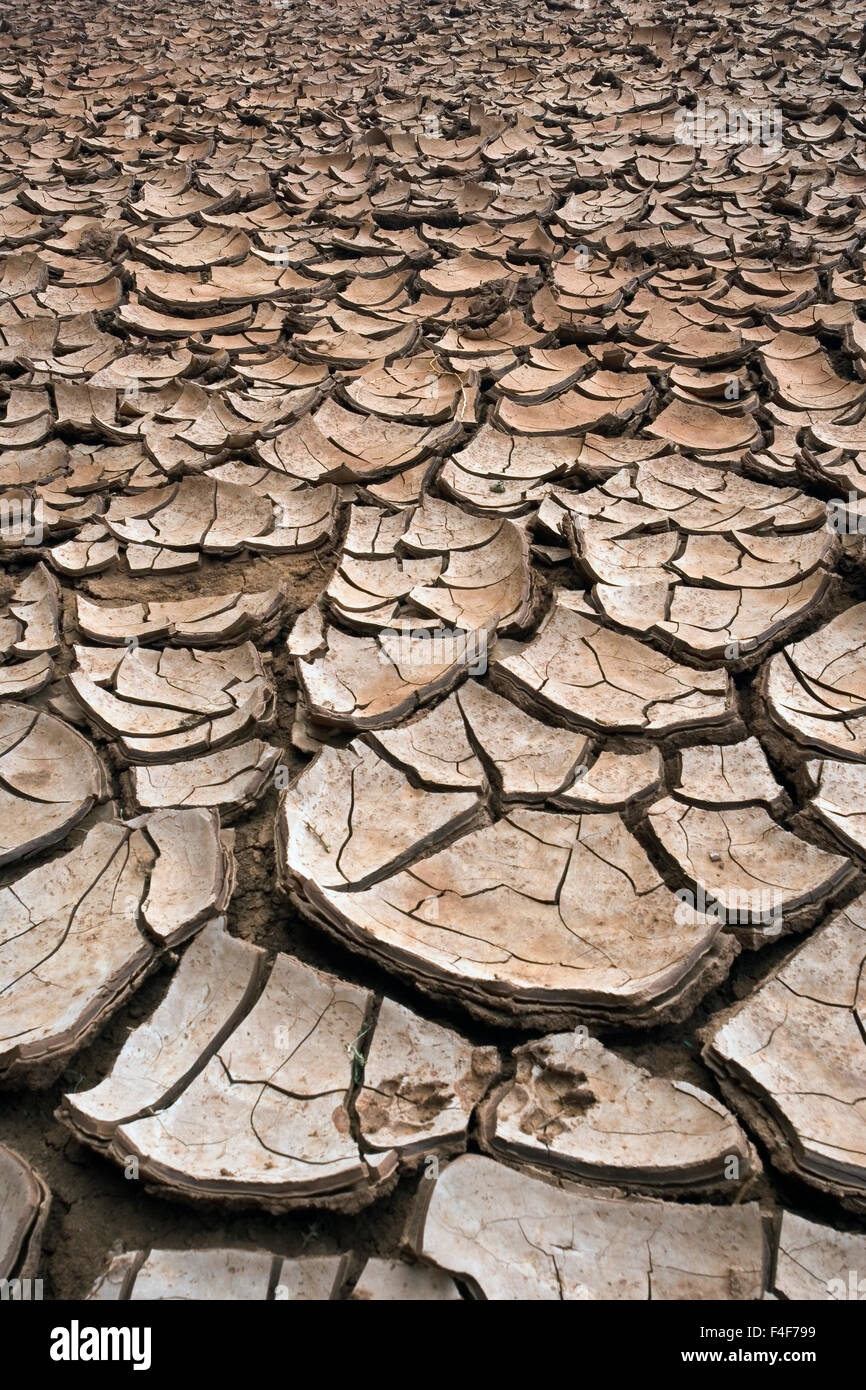 Cracked mud pattern, Monument Valley, Utah, USA Stock Photo - Alamy