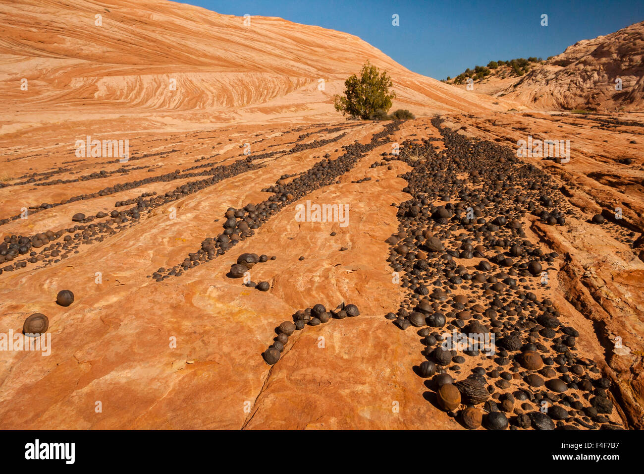 USA, Utah, Grand Staircase Escalante National Monument. Moki marbles on ...