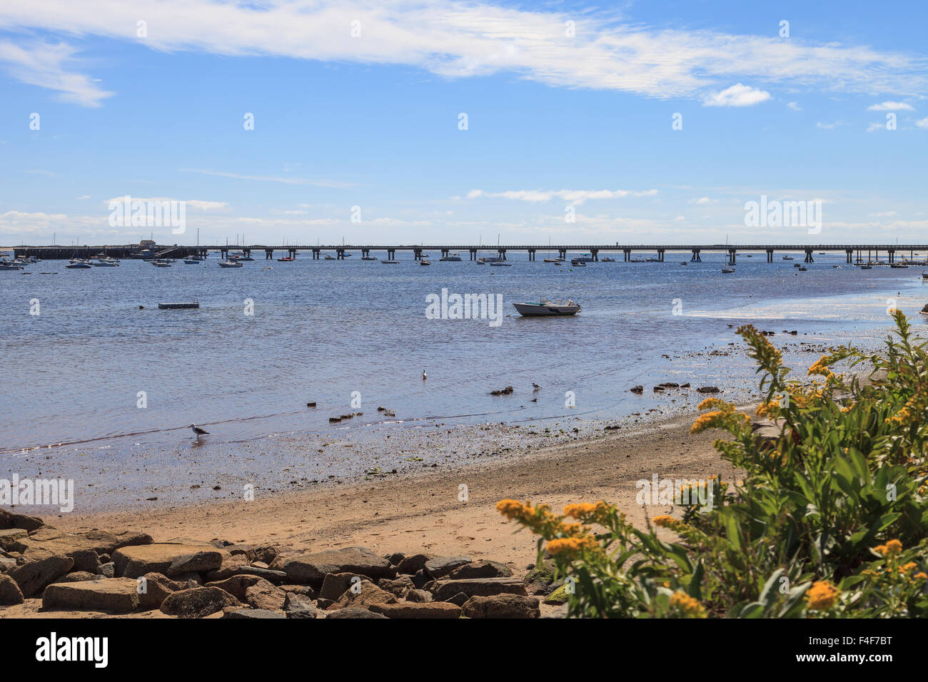 Provincetown, Massachusetts, Cape Cod pier and beach and ocean view ...