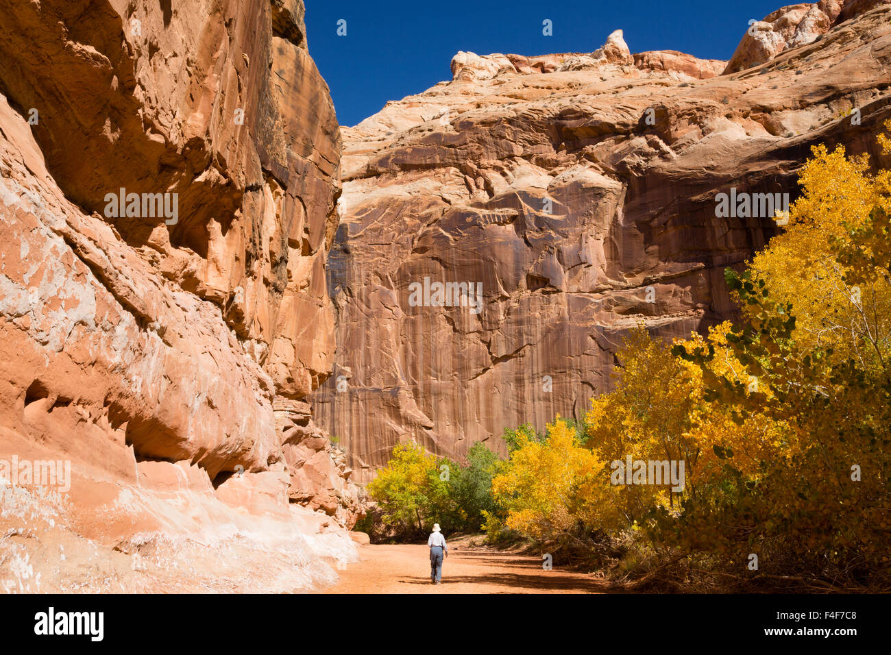 USA, Utah, Canyonlands National Park, Horseshoe Canyon Stock Photo - Alamy