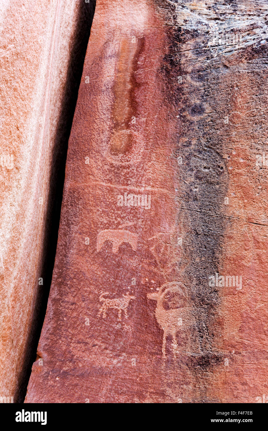 USA, Utah, Capitol Reef National Park, Fremont petroglyphs Stock Photo ...