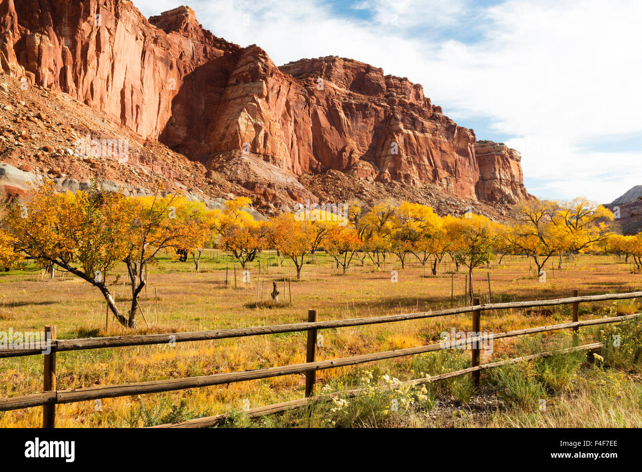 USA, Utah, Capitol Reef National Park, fruit orchard with Waterpocket ...