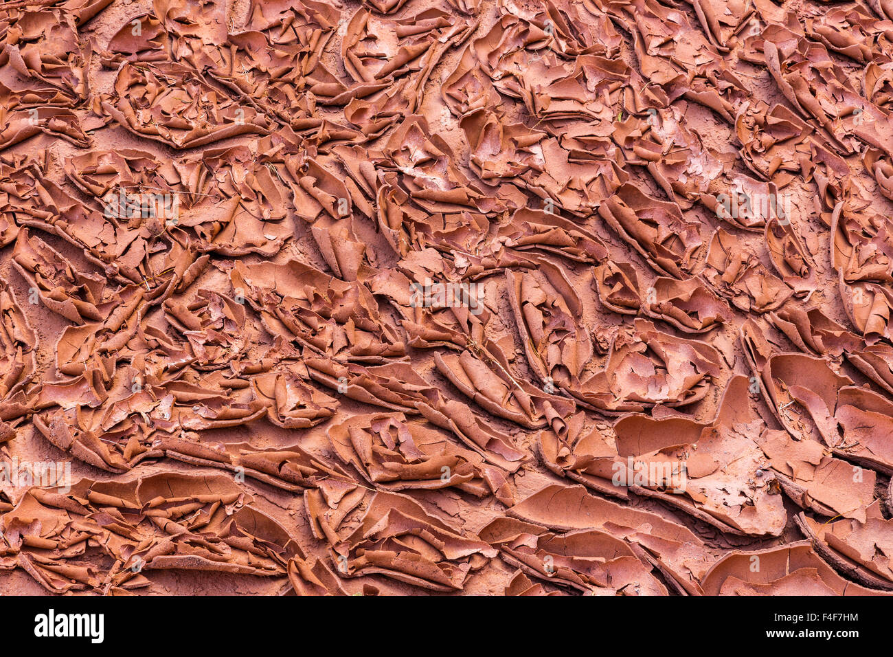 USA, Utah, Glen Canyon National Recreation Area. Dried mud left by ...