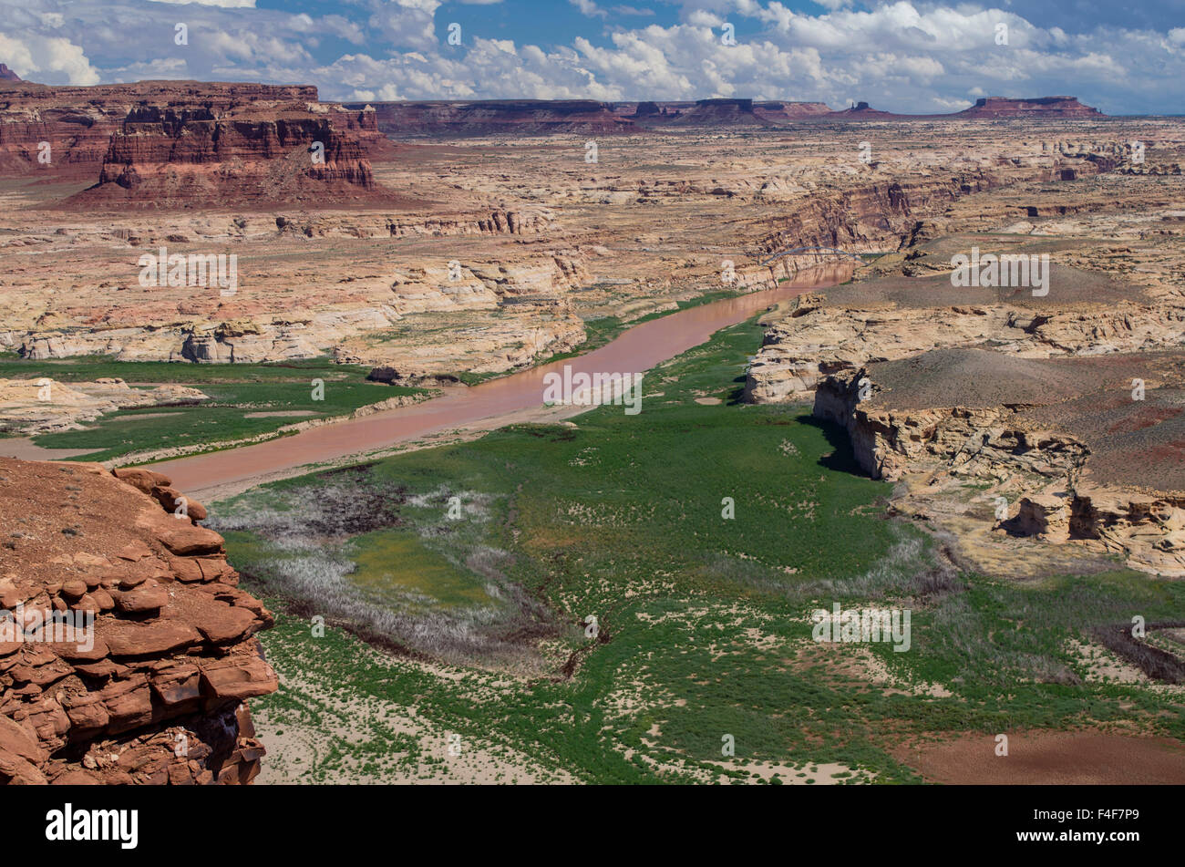 USA, Utah, Glen Canyon NRA. Dirty Devil River meets the Colorado River ...