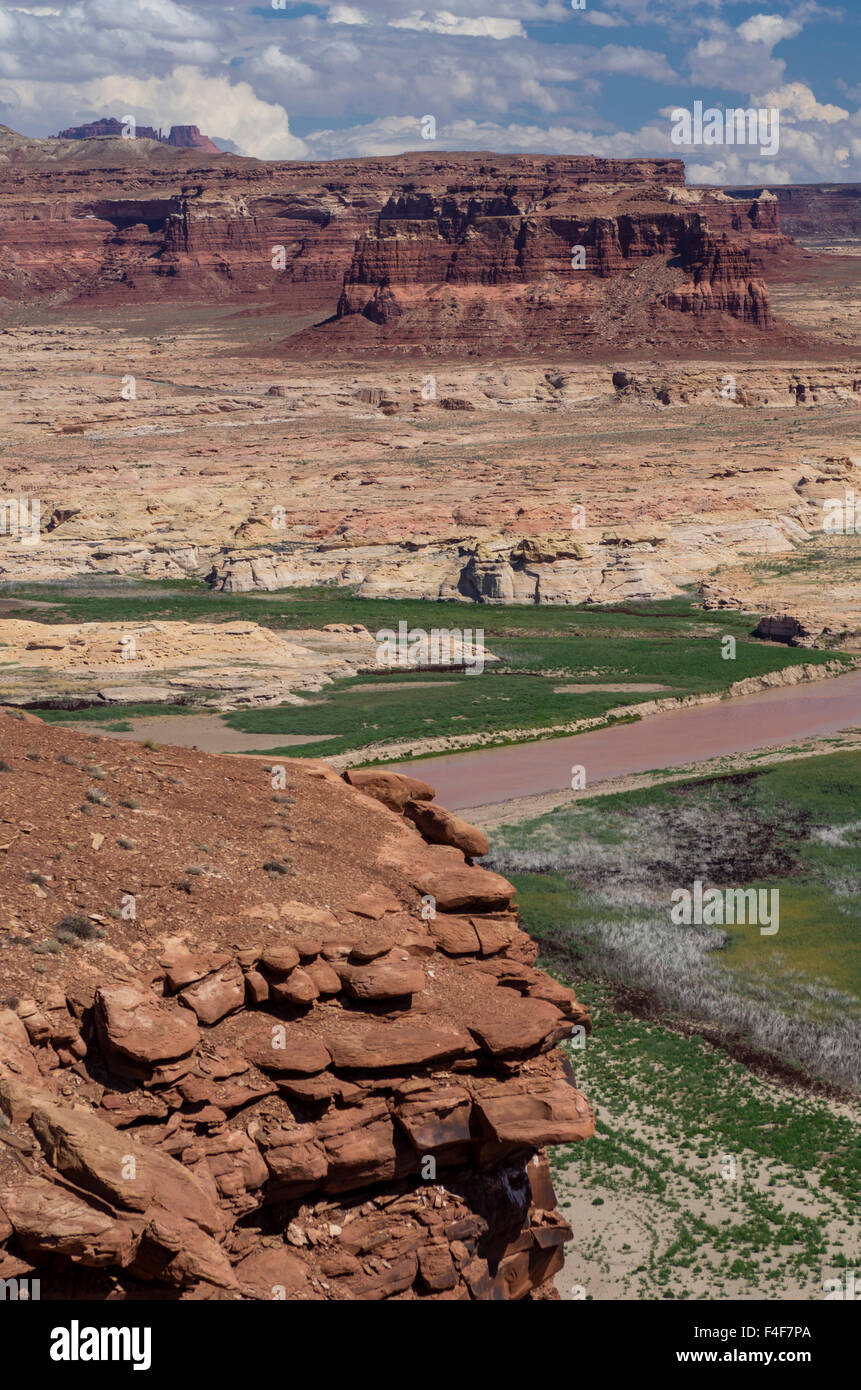 USA, Utah, Glen Canyon NRA. Dirty Devil River meets the Colorado River ...