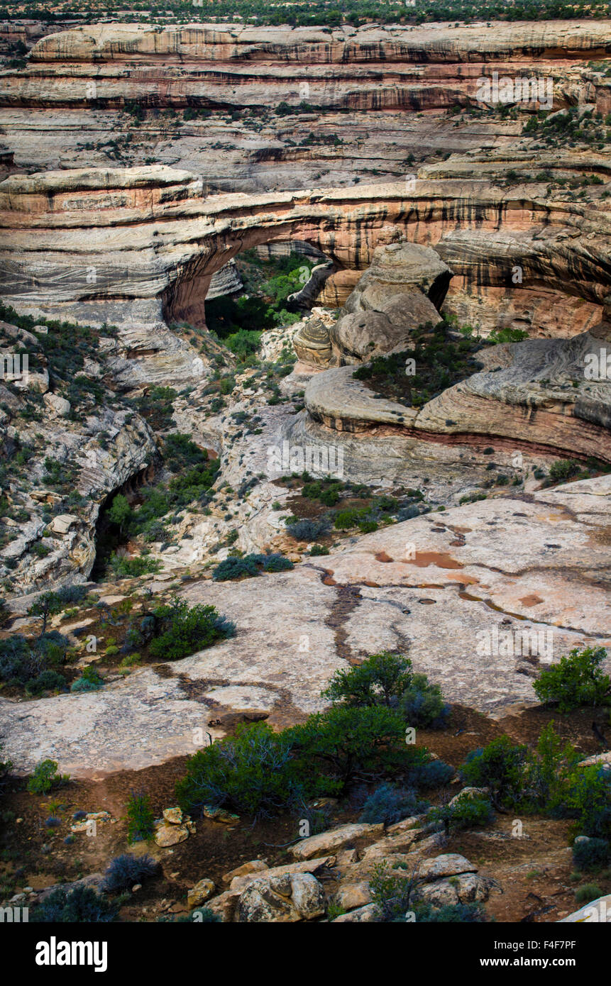 USA, Utah, Natural Bridges NM. Sipapu Bridge Stock Photo - Alamy