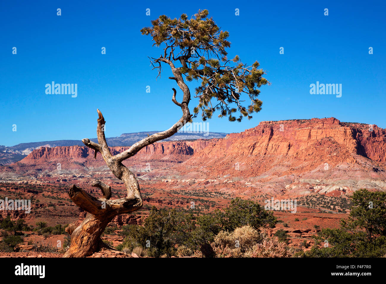 USA, Utah, Capitol Reef National Park, Waterpocket Fold formations with ...