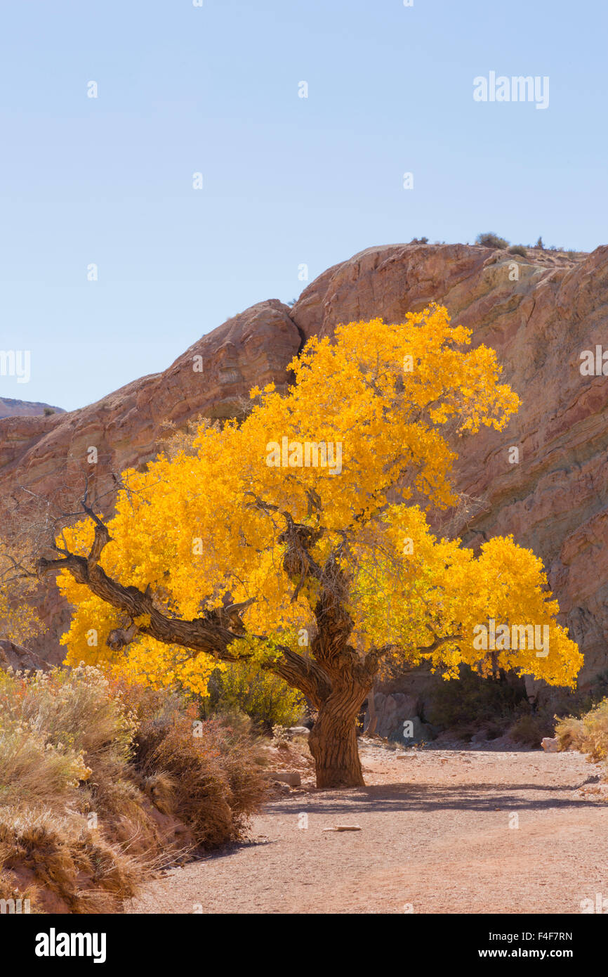 Emery hi-res stock photography and images - Alamy