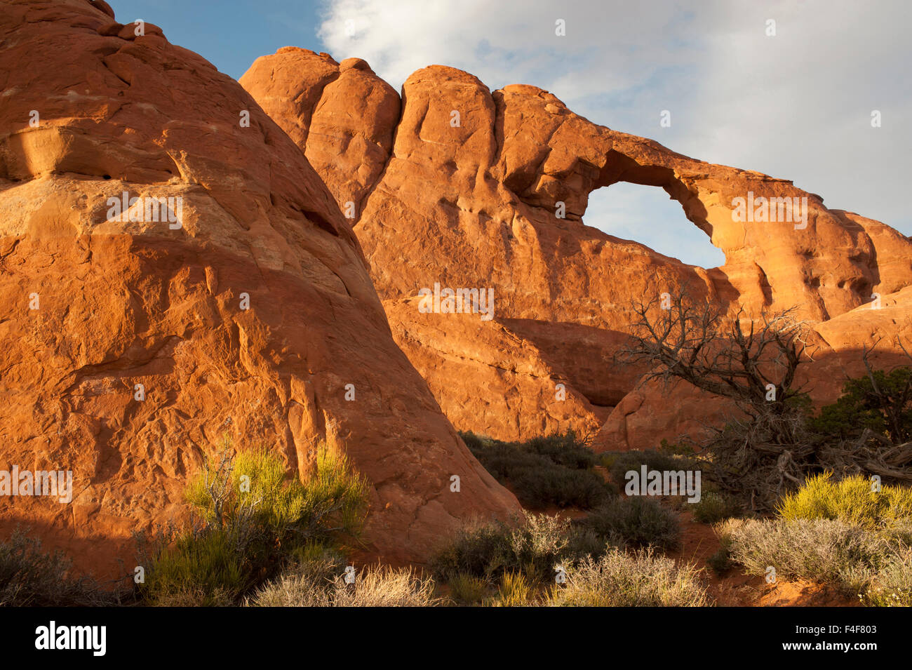 Skyline Arch, Windows Trail, Arches National Park, Utah Stock Photo - Alamy