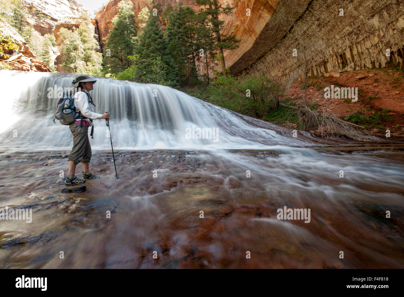 Hiking in Subway, Left Fork of North Creek, Zion National Park, near ...